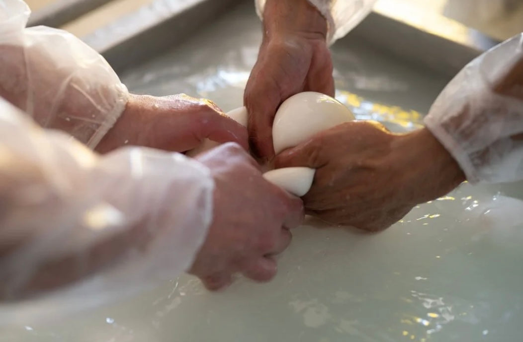 Mozzarelle del Caseificio Principato e burrata Gioiella – Marco salumi ...